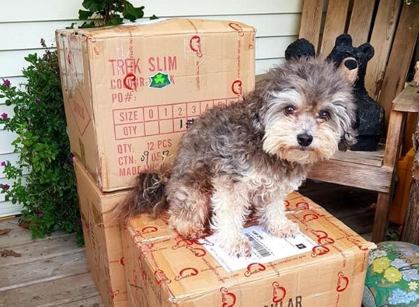 Order Cavallo Boots Now & Size Later - Horse Boots, Hoof Boots, Saddle ...